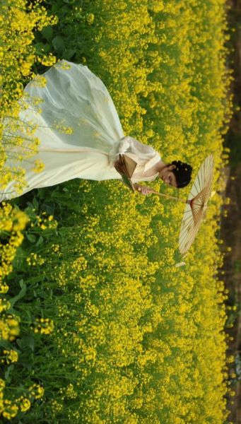 油菜花什么时候开_油菜花图片拍摄技巧-第2张图片-山城妙识