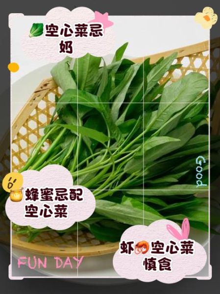 空心菜不能和什么一起吃_空心菜相克食物有哪些-第1张图片-山城妙识