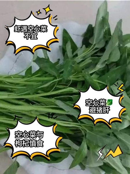空心菜不能和什么一起吃_空心菜相克食物有哪些-第2张图片-山城妙识