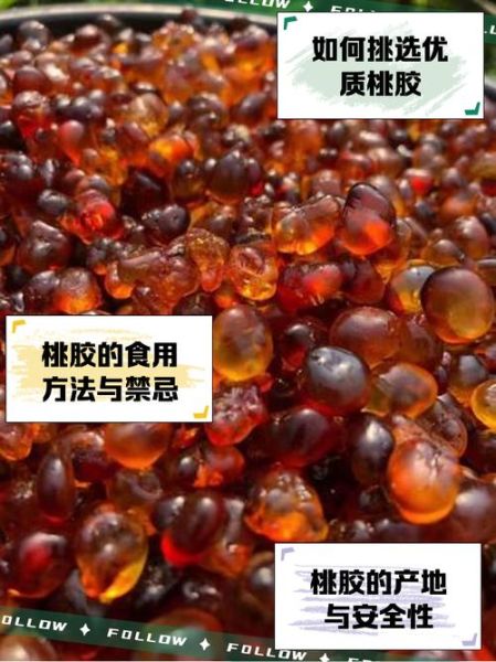 桃胶是什么东西形成的_桃胶是怎么来的-第2张图片-山城妙识 桃胶是什么东西形成的_桃胶是怎么来的-第2张图片-山城妙识