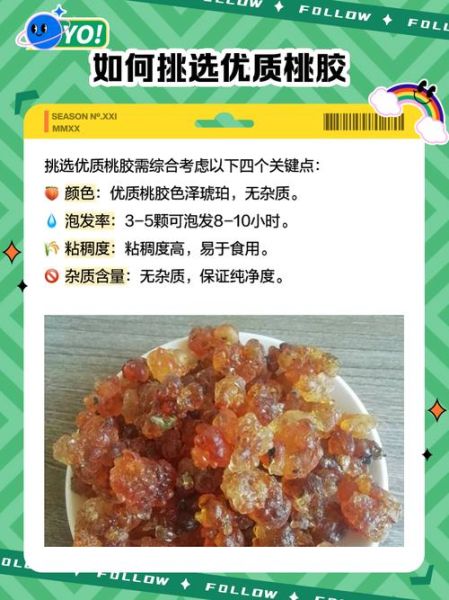 桃胶是什么东西形成的_桃胶是怎么来的-第3张图片-山城妙识 桃胶是什么东西形成的_桃胶是怎么来的-第3张图片-山城妙识