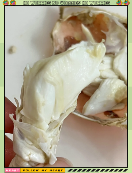 梭子蟹死了能放多久_死了的梭子蟹还能吃吗-第1张图片-山城妙识 梭子蟹死了能放多久_死了的梭子蟹还能吃吗-第1张图片-山城妙识