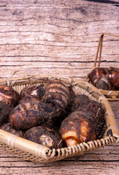 哪些人不能吃芋头_芋头过敏人群有哪些-第1张图片-山城妙识