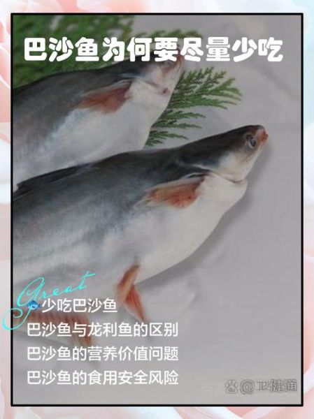 巴沙鱼健身吗_为什么健身不吃巴沙鱼-第1张图片-山城妙识
