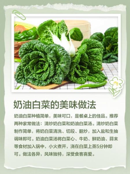 奶油白菜的营养价值_奶油白菜有哪些健康功效-第1张图片-山城妙识