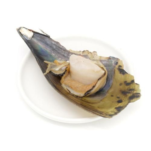 带子是什么_带子有哪些种类-第3张图片-山城妙识