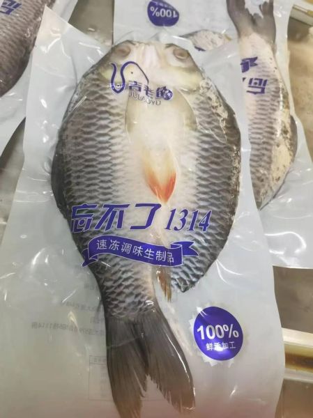 皇帝鱼多少钱一斤_皇帝鱼价格为什么这么贵-第3张图片-山城妙识