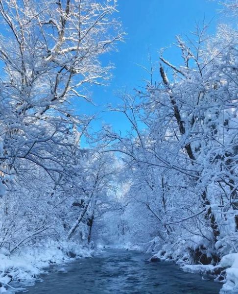 冬季旅游去哪里_冬季适合去哪里玩-第3张图片-山城妙识