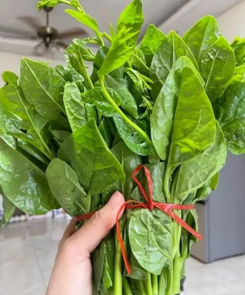 木耳菜的功效与作用_木耳菜禁忌有哪些-第1张图片-山城妙识