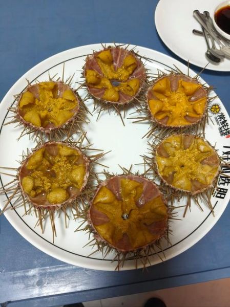 海胆多少钱一斤_海胆价格受哪些因素影响-第2张图片-山城妙识