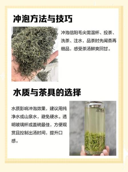 信阳毛尖怎么泡_信阳毛尖水温多少度-第1张图片-山城妙识
