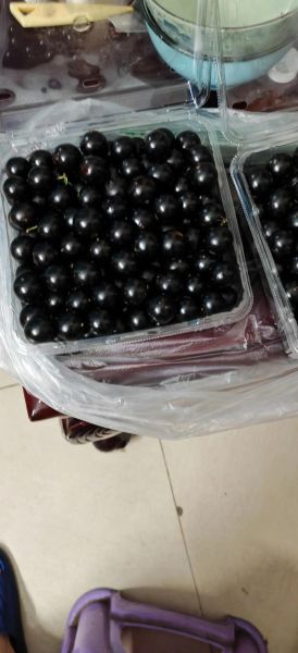 嘉宝果多少钱一斤_嘉宝果价格为什么这么贵-第2张图片-山城妙识 嘉宝果多少钱一斤_嘉宝果价格为什么这么贵-第2张图片-山城妙识