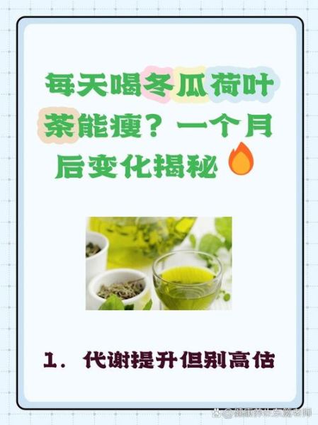 冬瓜荷叶茶能减肥吗_冬瓜荷叶茶禁忌有哪些-第2张图片-山城妙识 冬瓜荷叶茶能减肥吗_冬瓜荷叶茶禁忌有哪些-第2张图片-山城妙识