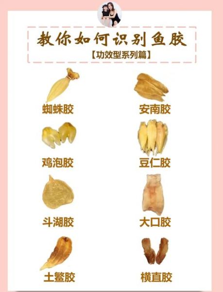 鱼胶的功效与作用有哪些_鱼胶怎么吃最补气血-第1张图片-山城妙识