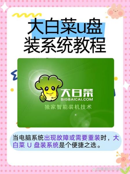 大白菜u盘启动盘制作失败怎么办_大白菜官网一键u盘装系统教程-第1张图片-山城妙识