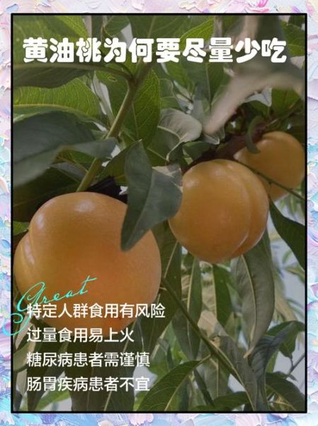 油桃什么人不能吃_油桃禁忌人群有哪些-第1张图片-山城妙识