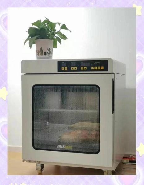 单纯用小苏打能发面吗_发面失败原因-第2张图片-山城妙识 单纯用小苏打能发面吗_发面失败原因-第2张图片-山城妙识