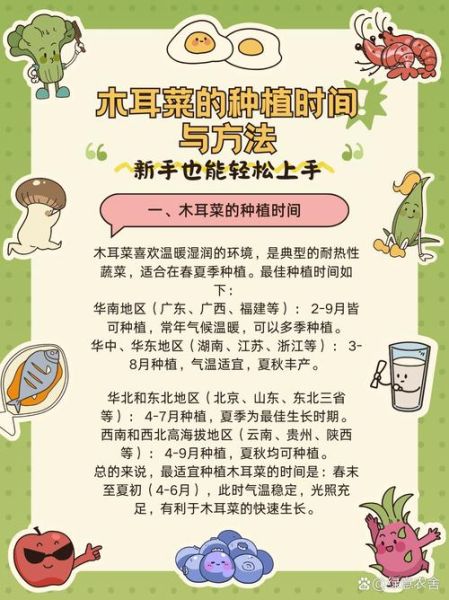 木耳菜又叫什么菜_木耳菜和落葵是同一种吗-第1张图片-山城妙识 木耳菜又叫什么菜_木耳菜和落葵是同一种吗-第1张图片-山城妙识