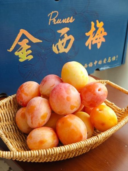 西梅什么时候成熟上市_西梅几月份吃最好-第1张图片-山城妙识 西梅什么时候成熟上市_西梅几月份吃最好-第1张图片-山城妙识