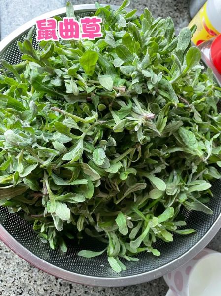 草饼怎么做_草饼需要蒸多久-第1张图片-山城妙识