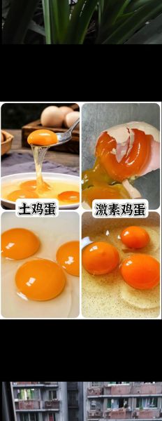 人造蛋和鸡蛋的区别图片_如何一眼分辨真假-第2张图片-山城妙识