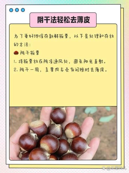 去皮生栗子怎么做好吃_去皮生栗子家常做法-第3张图片-山城妙识 去皮生栗子怎么做好吃_去皮生栗子家常做法-第3张图片-山城妙识