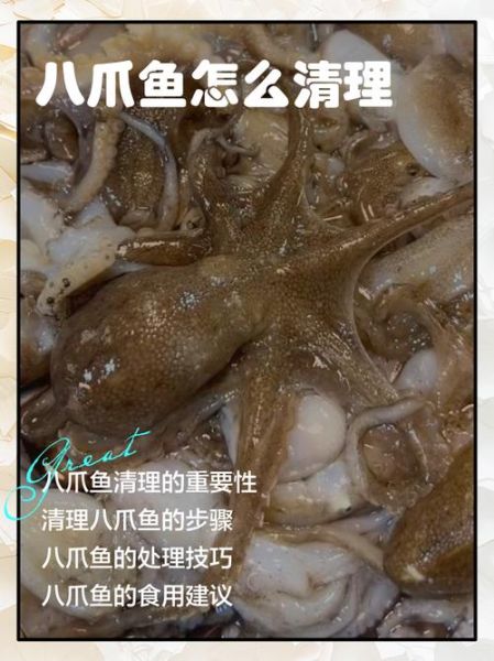 八爪鱼怎么清洗_八爪鱼清洗技巧-第1张图片-山城妙识