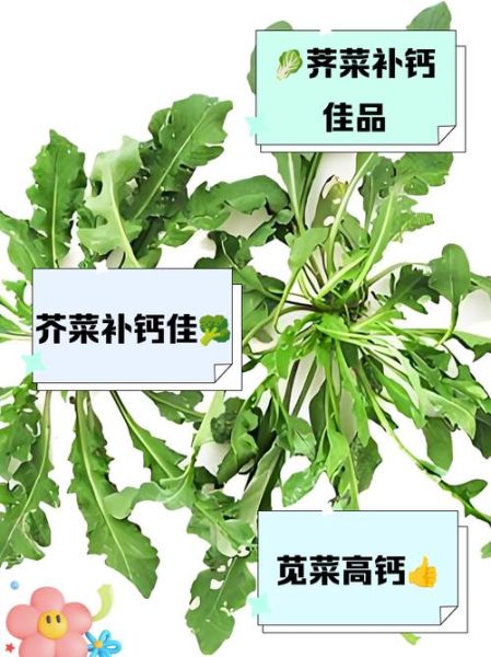 缺钙吃什么蔬菜_哪些蔬菜补钙效果最好-第2张图片-山城妙识 缺钙吃什么蔬菜_哪些蔬菜补钙效果最好-第2张图片-山城妙识