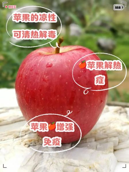 苹果是凉性还是热性_苹果寒性还是温性-第1张图片-山城妙识
