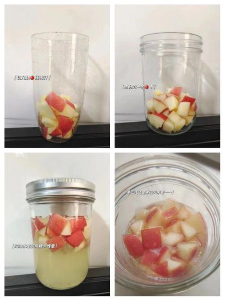 自制水果酵素配方比例_水果酵素怎么做才成功-第3张图片-山城妙识