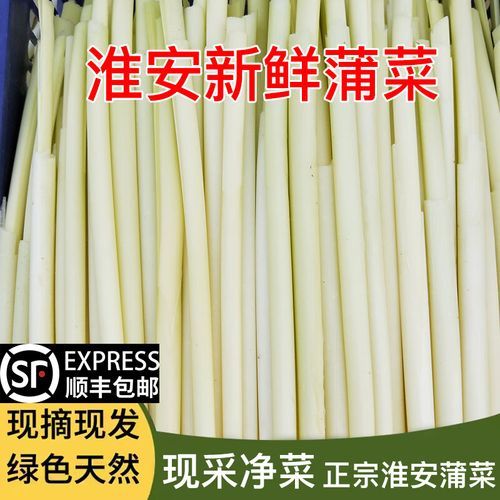 蒲笋怎么种_蒲笋生长周期多久-第1张图片-山城妙识