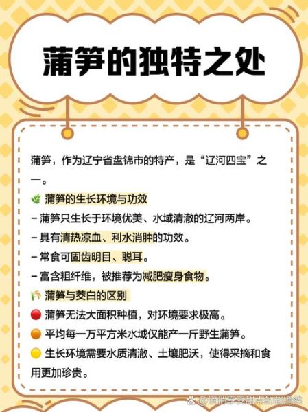 蒲笋怎么种_蒲笋生长周期多久-第2张图片-山城妙识