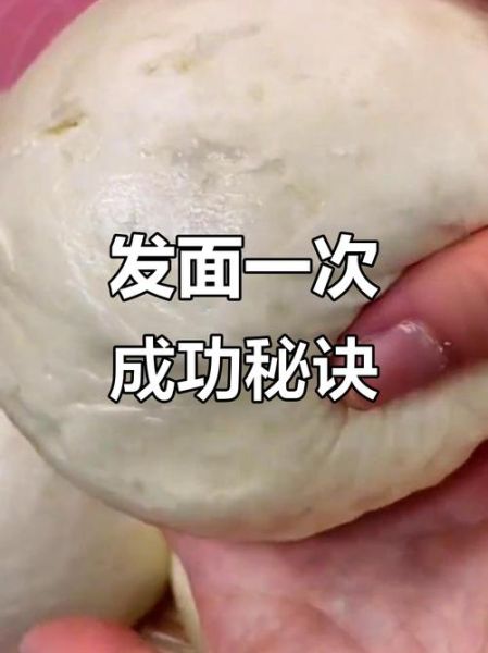 发面包子怎么做_发面失败怎么办-第2张图片-山城妙识 发面包子怎么做_发面失败怎么办-第2张图片-山城妙识