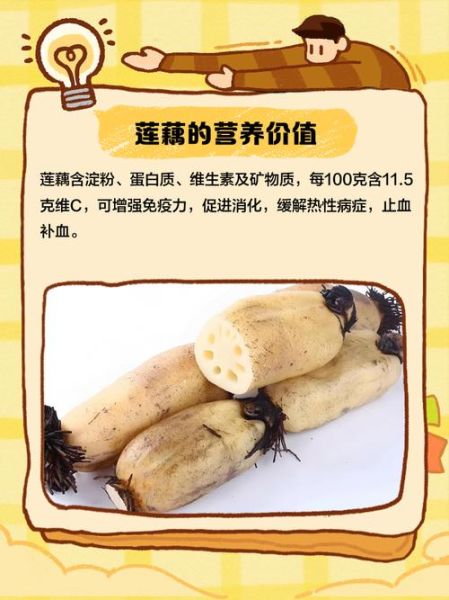 莲藕的营养价值_莲藕怎么吃最营养-第3张图片-山城妙识