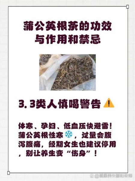 蒲公英根茶的功效与作用_蒲公英根茶怎么喝-第2张图片-山城妙识