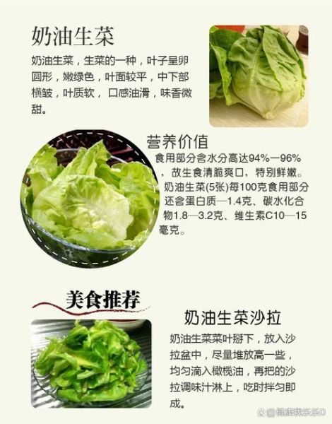 生菜的功效与作用_生菜的营养价值有哪些-第3张图片-山城妙识 生菜的功效与作用_生菜的营养价值有哪些-第3张图片-山城妙识