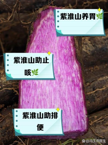 紫山药的营养价值_紫山药的功效与作用-第1张图片-山城妙识