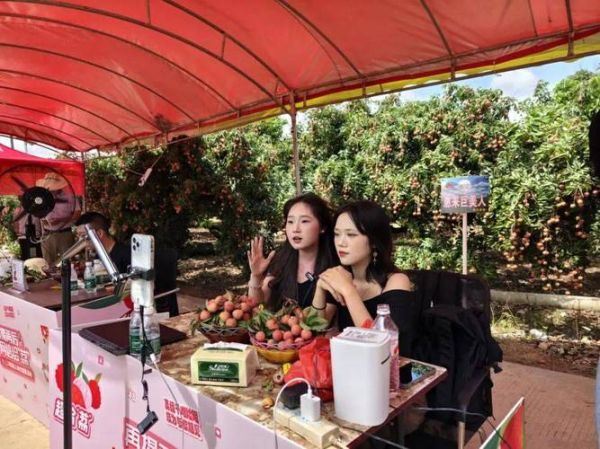 荔枝直播平台怎么赚钱_荔枝直播提现多久到账-第2张图片-山城妙识