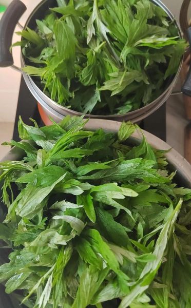 新鲜艾草怎么吃_新鲜艾草的家常做法-第2张图片-山城妙识 新鲜艾草怎么吃_新鲜艾草的家常做法-第2张图片-山城妙识