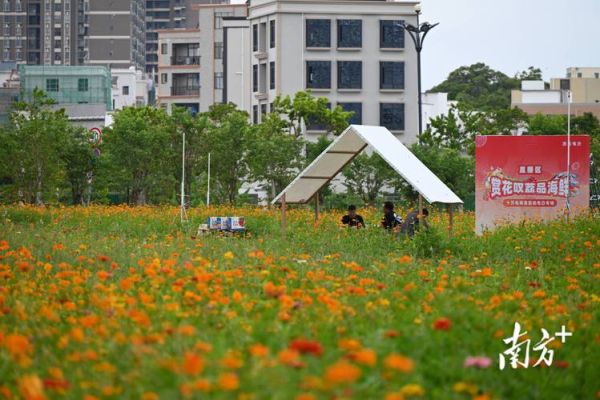 荔枝直播平台怎么赚钱_荔枝直播提现多久到账-第3张图片-山城妙识