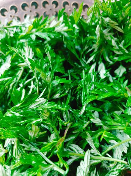 新鲜艾草怎么吃_新鲜艾草的家常做法-第3张图片-山城妙识 新鲜艾草怎么吃_新鲜艾草的家常做法-第3张图片-山城妙识