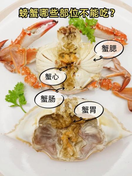螃蟹哪些部位不能吃_吃螃蟹的禁忌部位-第2张图片-山城妙识