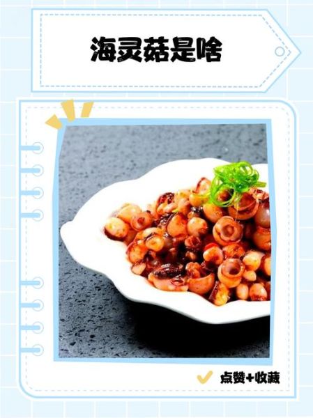 海灵菇是什么_海灵菇长在海底哪里-第3张图片-山城妙识