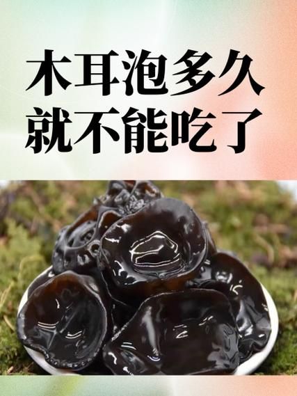 女人吃木耳的好处_女人吃木耳能减肥吗-第1张图片-山城妙识