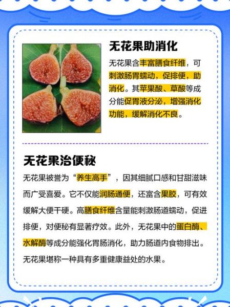 女人吃无花果的好处和坏处_每天吃多少合适-第3张图片-山城妙识