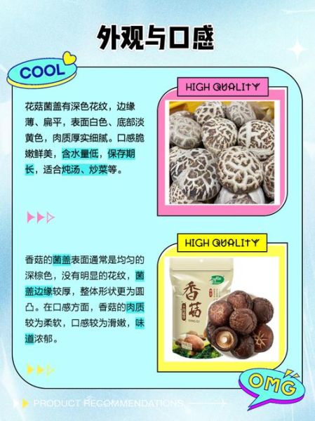 花菇的营养价值及功效_花菇怎么吃最营养-第1张图片-山城妙识