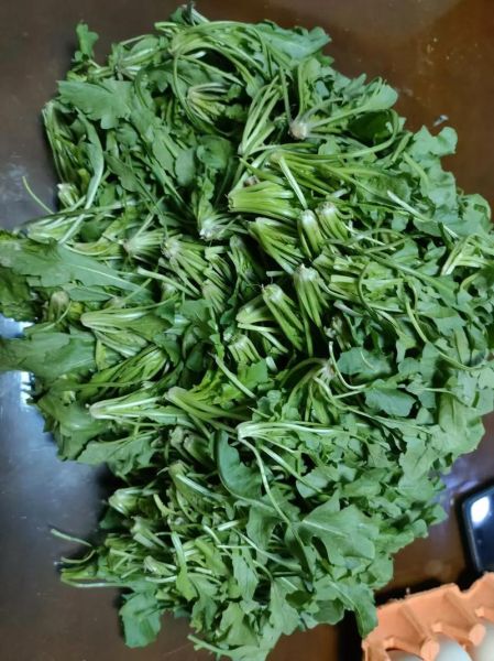 素馅荠菜饺子馅怎么做好吃_荠菜素馅饺子馅的做法窍门-第3张图片-山城妙识