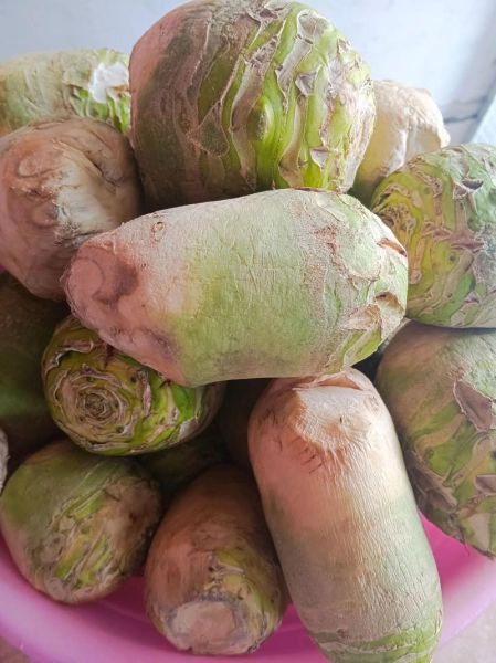 大头菜怎么做好吃_大头菜腌制方法-第2张图片-山城妙识 大头菜怎么做好吃_大头菜腌制方法-第2张图片-山城妙识