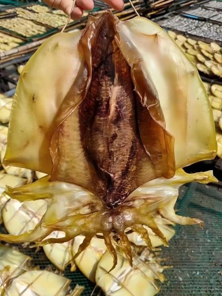 干墨鱼干怎么泡发_干墨鱼干泡发多久才软-第1张图片-山城妙识