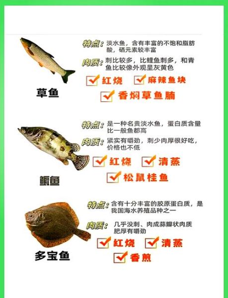 草鱼和鲤鱼哪个刺少_草鱼鲤鱼鱼刺对比-第2张图片-山城妙识 草鱼和鲤鱼哪个刺少_草鱼鲤鱼鱼刺对比-第2张图片-山城妙识